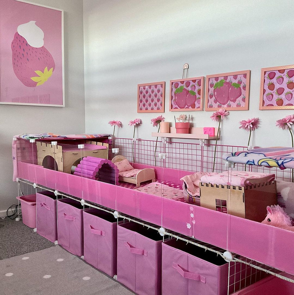 Guinea Pig Ozzy C&C Cages – Small Pet Warehouse