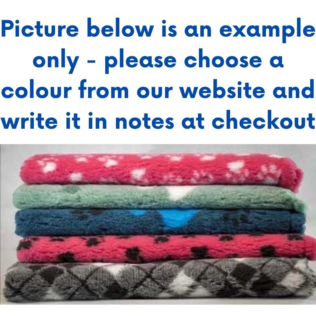 Custom Vet Bed – Small Pet Warehouse